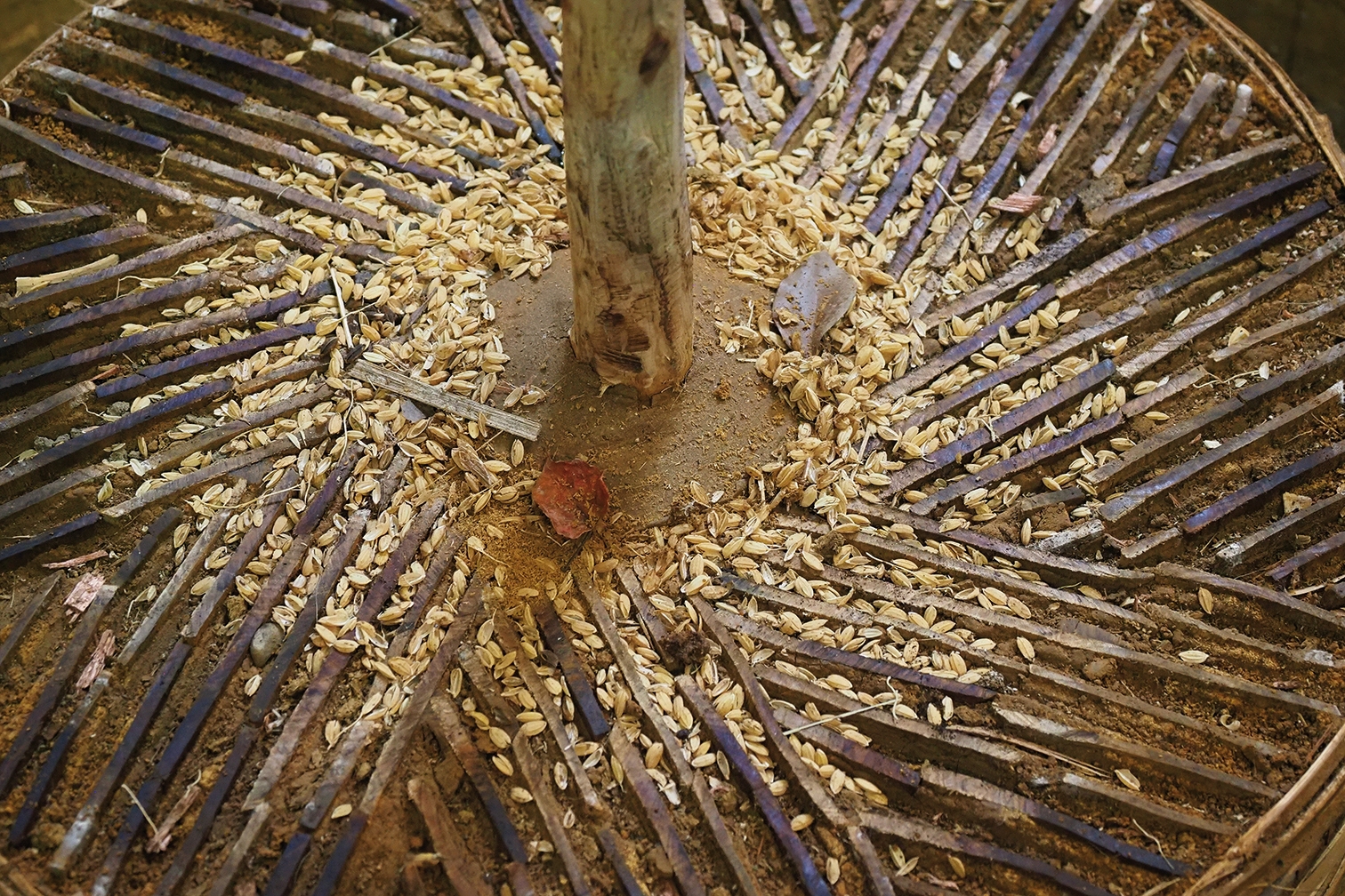 Lua Ing-hua A Vernacular-Speaking Rice-Popper - Taiwan Panorama