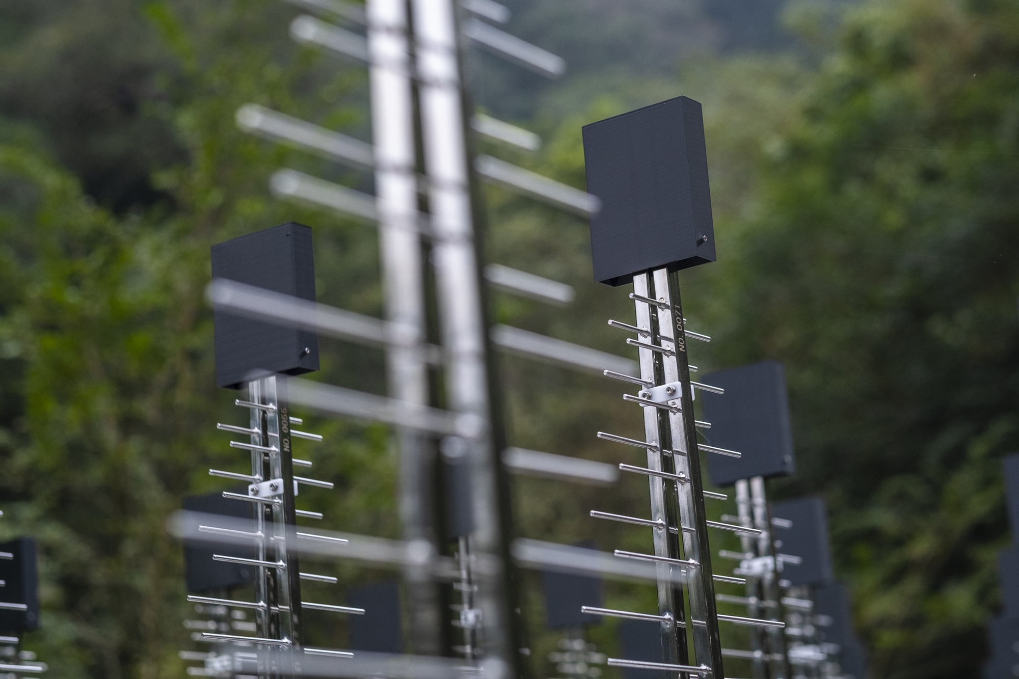 Blink and You’ll Miss Them: Fast Radio Bursts - Taiwan Panorama